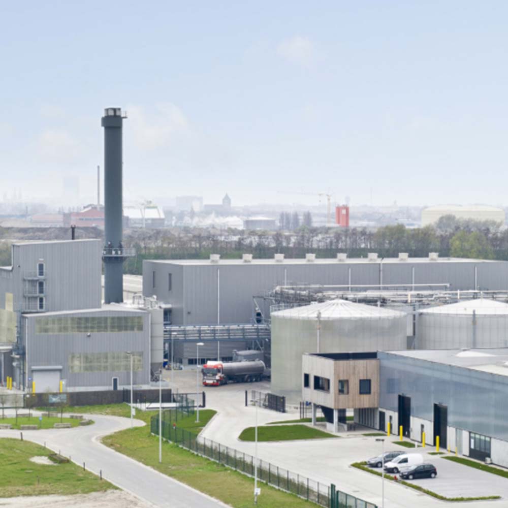 Operations – Leo Group Ltd