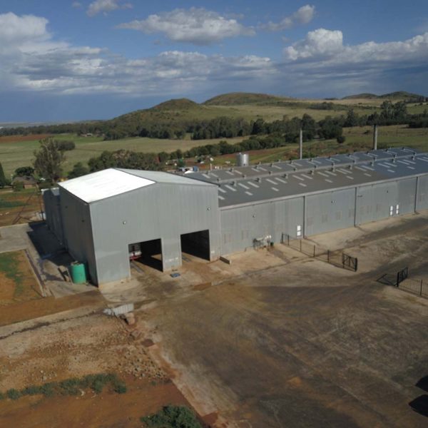 Operations – Leo Group Ltd