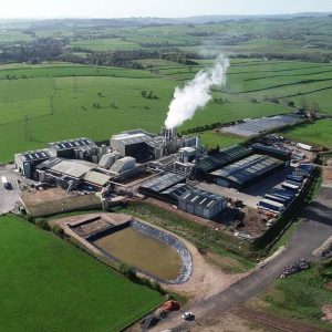 Operations – Leo Group Ltd